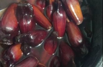 Receita de Pinhão cozido - Quero Receita